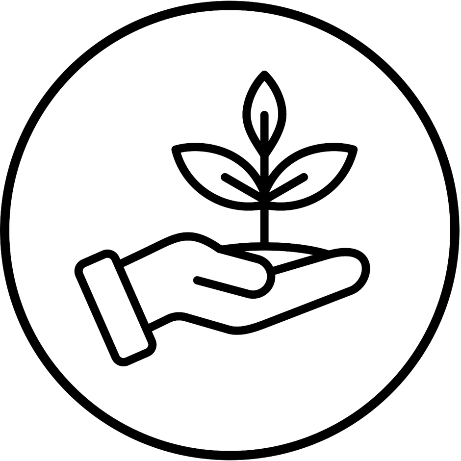 BandiFull - Premium Ceylon cinnamon, Ceylon tea, and Masala Chai